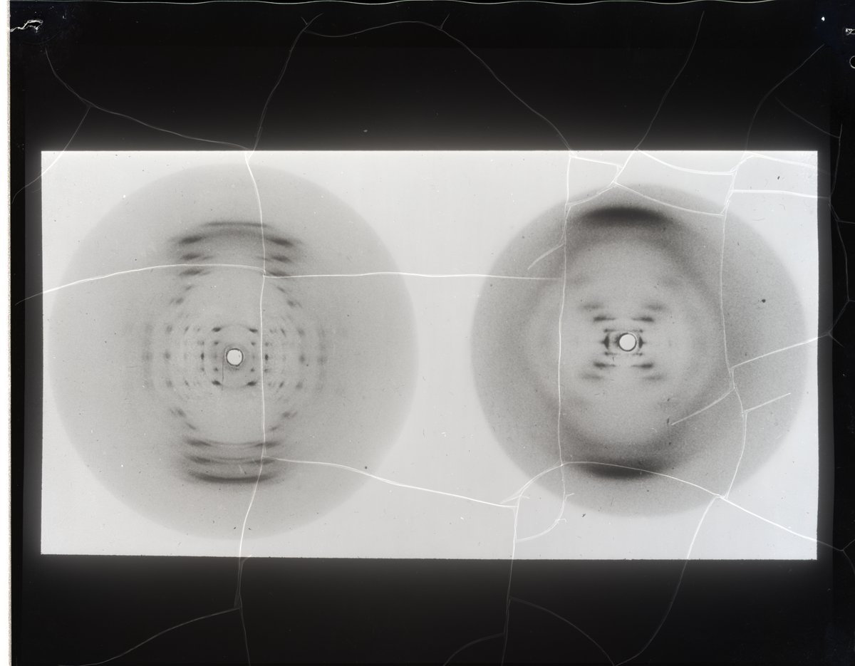 Acetate film negative containing X-Ray diffraction images of A-form and ...
