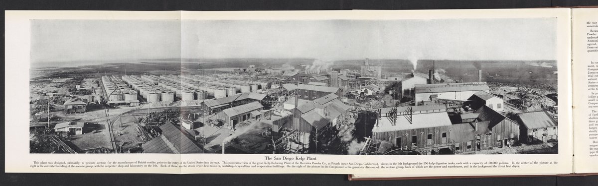 Panoramic view of Hercules Powder Company's San Diego kelp plant in ...