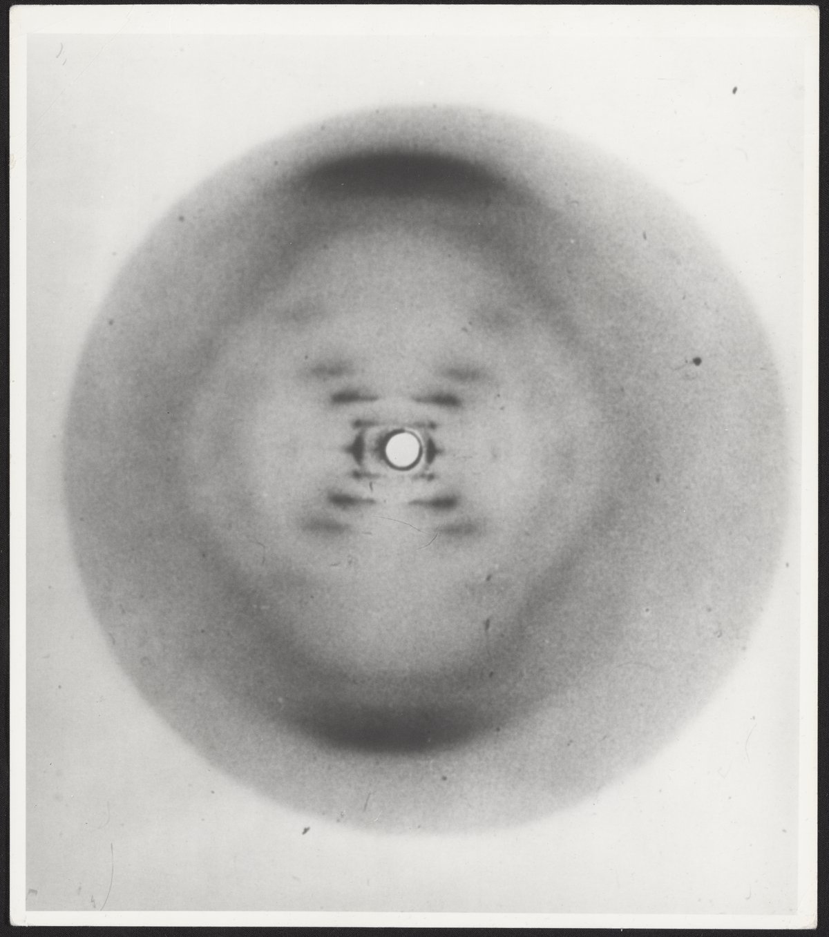 DNA X-ray diffraction image known as Photo 51, Annotated by Raymond ...