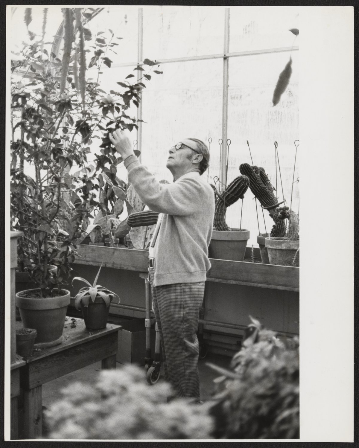 Photograph of Max Tishler at Wesleyan University - Science History ...