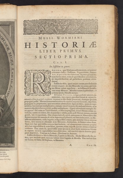 Museum Wormianum - Science History Institute Digital Collections
