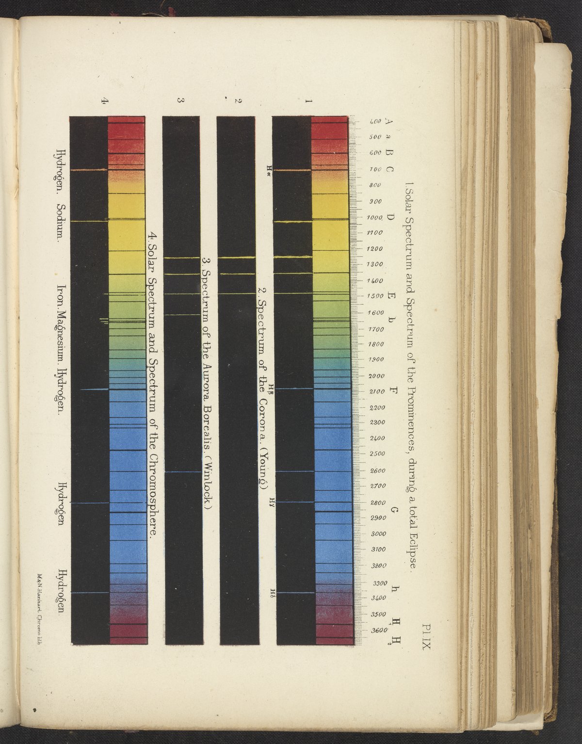 Solar Spectra of Prominences, Corona, Aurora Borealis, and Chromosphere ...