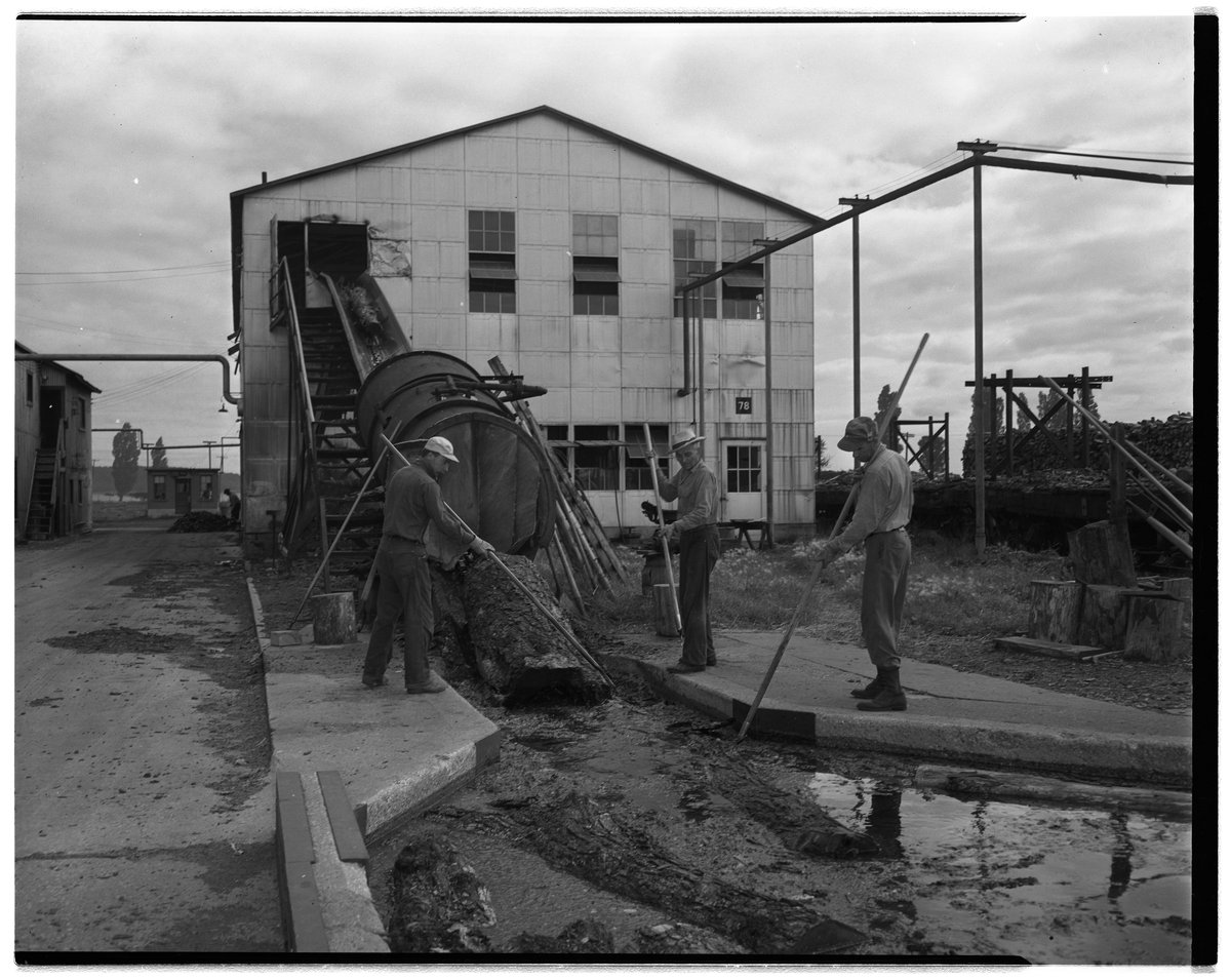 Hot pond and sawmill conveyor at Cliffs Dow plant - Science History ...
