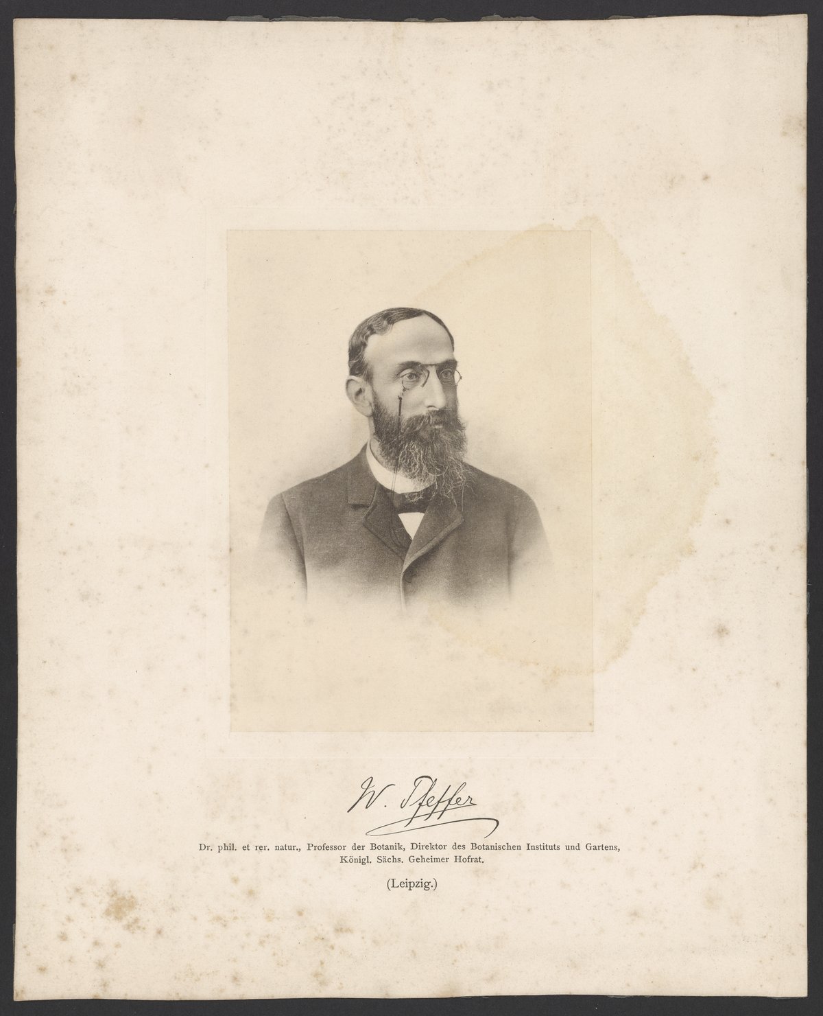 Portrait of Wilhelm Pfeffer - Science History Institute Digital Collections
