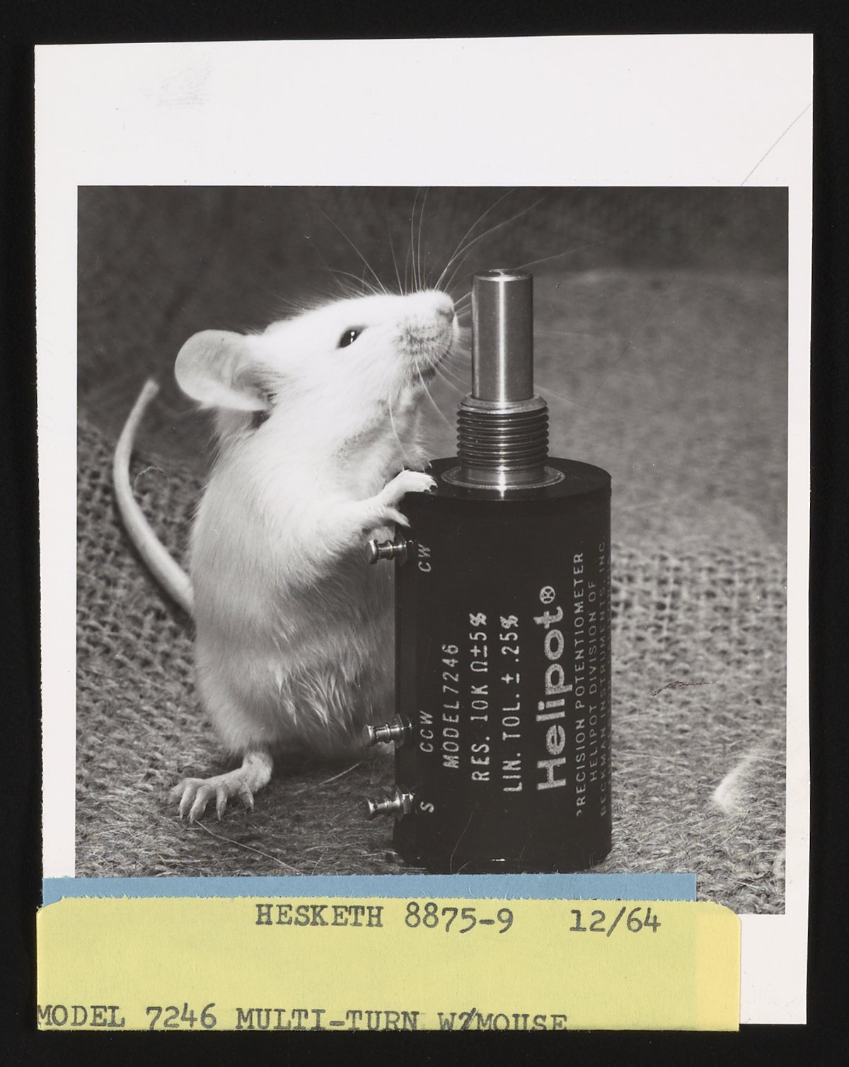 Mouse with a Helipot Model 7246 multi-turn potentiometer - Science ...