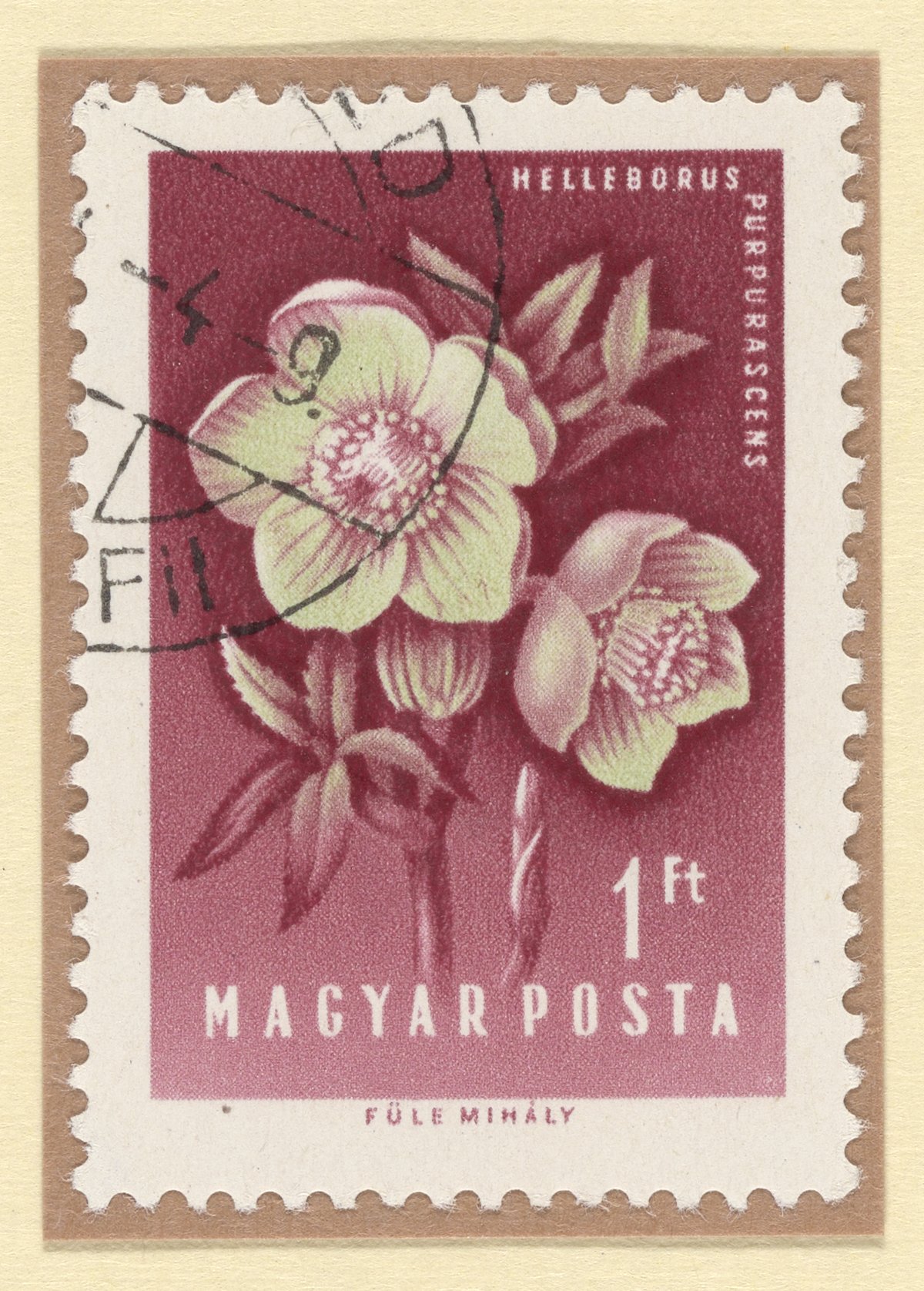Hellebore postage stamp, Hungary - Science History Institute Digital ...